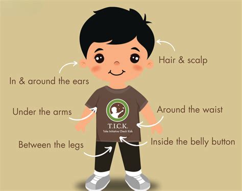 All Natural Tick Control By Ohdeer Cape Cod Safe Yard Treatments