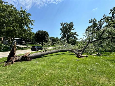 July 14 2024 Nighttime Line Of Storms Produces Swaths Of Wind Damage