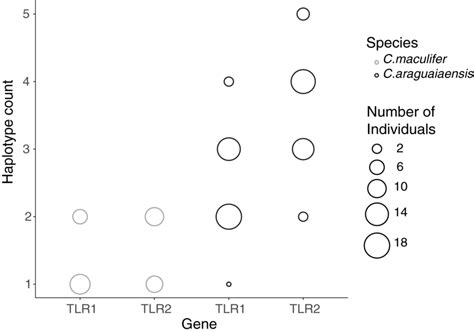 minimum inferred haplotype counts at tlr1 and tlr2 loci in corydoras