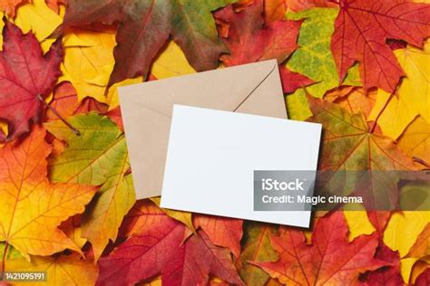 타락한 가을 말린 나뭇잎 배경이있는 봉투 템플릿이있는 축제 카드 가을 무드 디자인 모형 다채롭고 잡색의 단풍 플랫 레이 상단보기