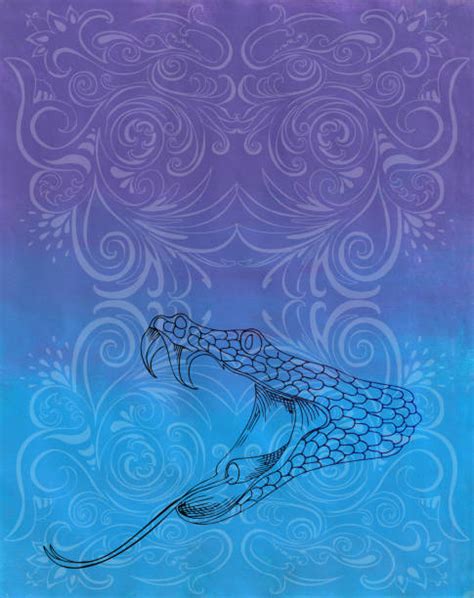 80 Python Egg Stock Illustrations Royalty Free Vector Graphics And Clip