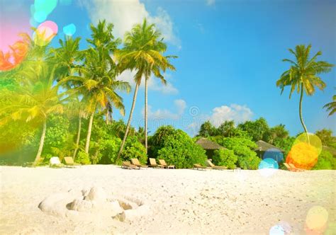 Tropical Island Sand Beach With Palm Trees Sunny Blue Sky With Stock