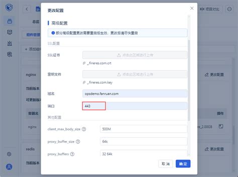 使用IP 域名访问项目 FineOps帮助文档