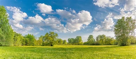 Naturaleza Imágenes Fotos Y Fondos De Pantalla Para Descargar Gratis