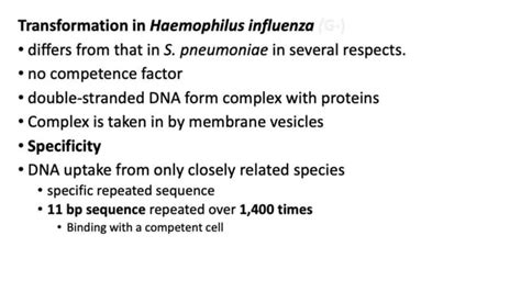 Bacterial Transformation Pdf