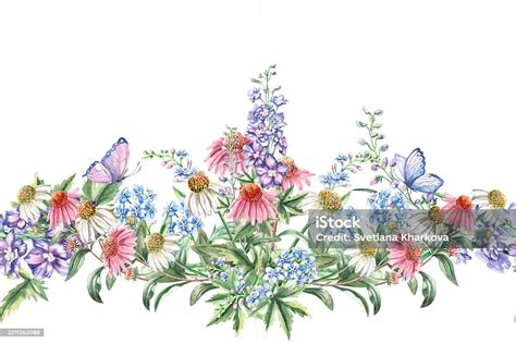 에키네시아 꽃다발과 잠자리와의 완벽한 테두리 화장품 사탕 옷에 인쇄의 포장 디자인을위한 꽃다발의 고립 된 수채화 그림 건강한 생활방식에 대한 스톡 벡터 아트 및 기타 이미지