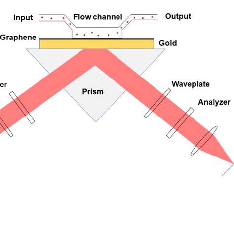 Schematic Of The Surface Plasmon Resonance Spr Polarization Control