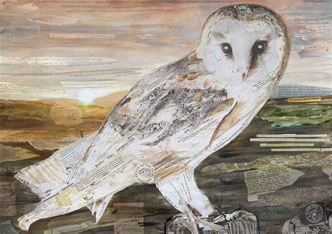 A3 Signed Open Edition Barn Owl Collage Print The Barn Owl Trust