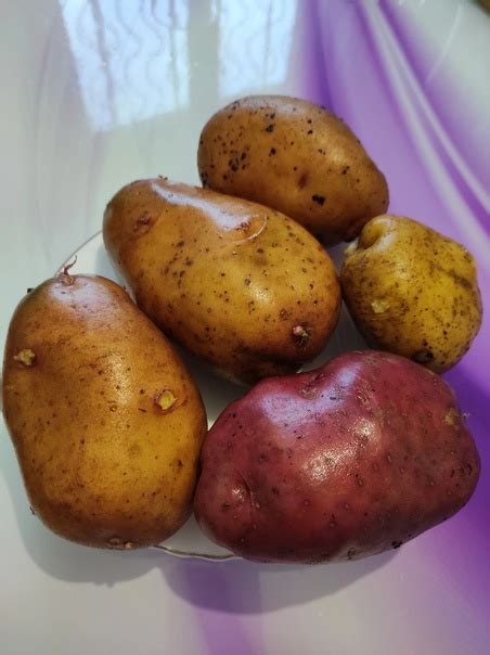 Продам отборный картофель 15р доска объявлений ВКонтакте