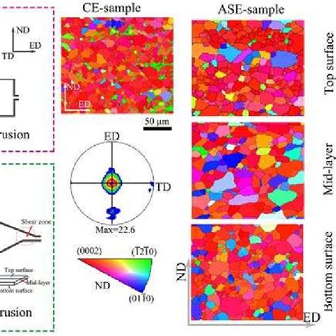 0002 Pole Figures And Ebsd Orientation Maps Of The Ce And Dse Samples Download Scientific