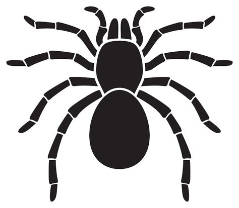 Premium Vector Tarantula Spider