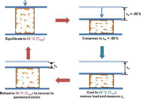 Fabrication Of A Bioactive Pcl Based Self Fitting Shape Memory Polymer Scaffold Protocol