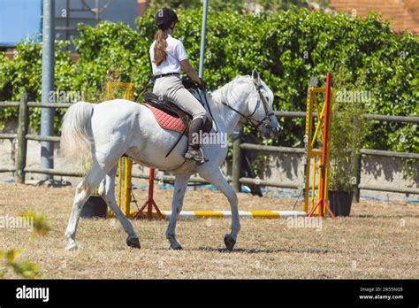 Equestrian Sport A Girl In White Uniform Riding White Horse At The
