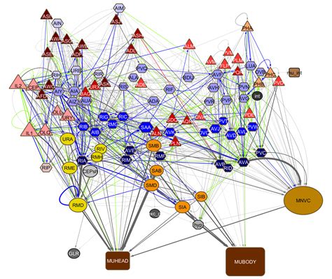 Wormwiring Network Diagrams