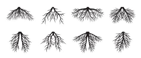 Set Of Tree Roots Vector Outline Illustration Plant In Garden Vector Art At Vecteezy