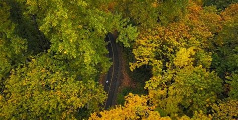 Wprd Mill Race Path Cameron Mccarthy