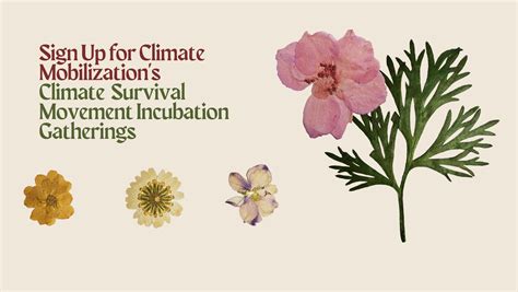 Climate Survival Climate Mobilization Project