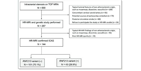 Patient Selection Hr Mri Indicates High Resolution Magnetic Resonance Download Scientific