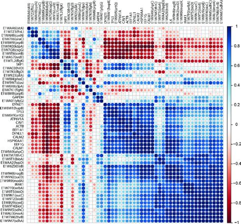 Correlation Analysis Has Shown That Hub Genes Ie Nodes With Degree Download Scientific