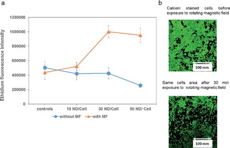 A Ethidium Bromide Fluorescence Quantification Revealing The Extent