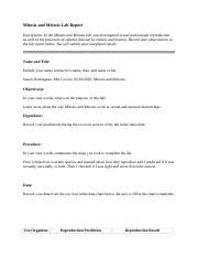 6 04 Mitosis And Meiosis Doc Mitosis And Meiosis Lab Report Instructions In The Mitosis And