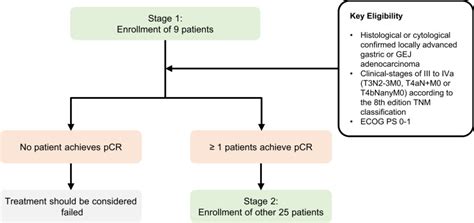 Efficacy And Safety Of Sintilimab In Combination With Concurrent Chemoradiotherapy For Locally