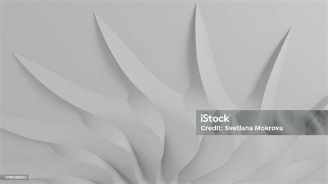 물결 모양의 소용돌이 치는 흰색 입체 꽃잎 세트의 현대 추상 파라메트릭 3 차원 배경은 센트에 수렴 3d 일러스트레이션 개념에