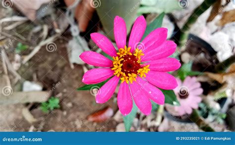 Close Up Cross Section Sample Impeller And Other Detail Inside Volute