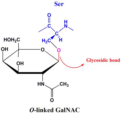 7 Post Translational Modification And Collagen Biosynthesis Simplemed Learning Medicine