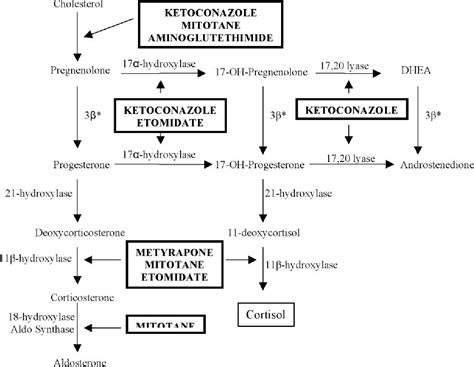 Figure 1 From Medical Management Of Cushing Disease Semantic Scholar