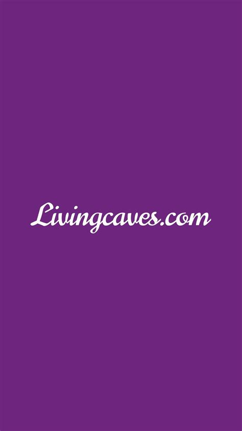 venkata chalapathi posted on linkedin