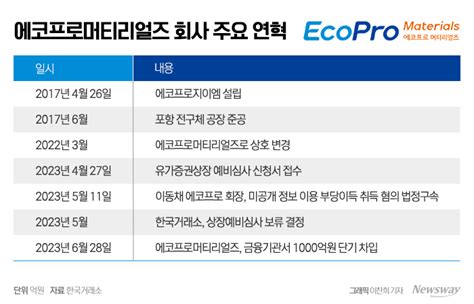 모회사 탓에 Ipo 늦어지는 에코프로머티리얼즈 빚 부담 늘었다 뉴스웨이