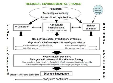 16 The Interaction Of Urbanization Agricultural Intensification And