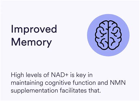 300g Pure Nmn Powder Stabilised For Nad Agemate
