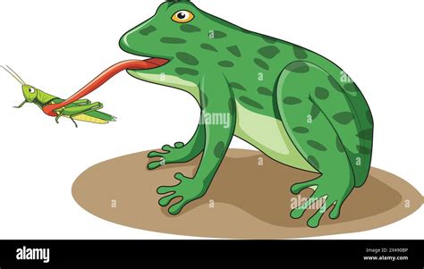 A Frog Trying To Catch A Grasshopper With Its Tongue Stock Vector Image