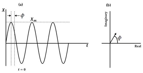 A Sinusoidal Waveform B Phasor Representation Download