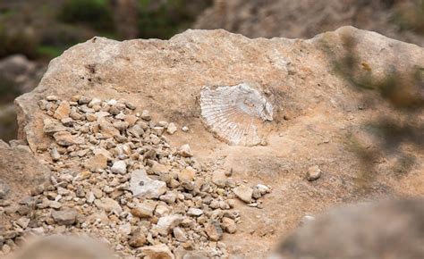 Igcse Marine Science Final Look Inside Sample By Cambridge International Education Issuu