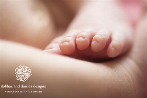 Newborn Twins Girls Bee Hive Swing Showit Blog