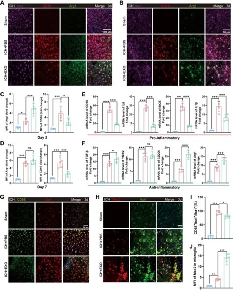 外泌体提取鉴定 Qpcr检测 Western Blot检测 研载生物科技上海有限公司