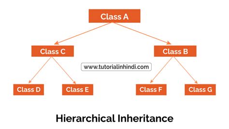 Inheritance In Hindi इनहेरिटेंस क्या है पूरी जानकारी Tutorial In Hindi