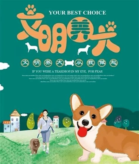 让 毛孩子”有家可归——文明养犬倡议书生活城市管理水平