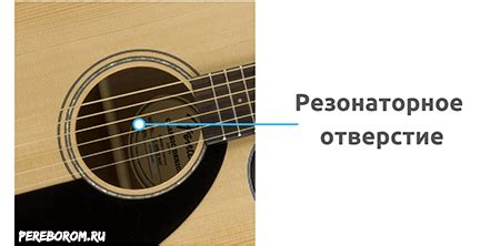 Строение гитары. Детальный разбор схемы строения акустической и ...