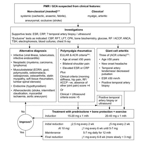 6 Management Algorithm For Diagnosis And Treatment Of Pmr Gca In