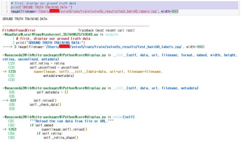 Yolov5 Custom Dataset