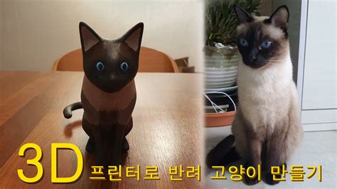 3d 프린터로 반려 고양이 만들기 Feat 팅이 Youtube