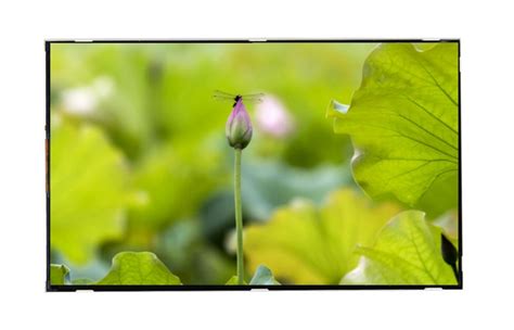 Tft Lcd Display Manufacturer Reshine Display
