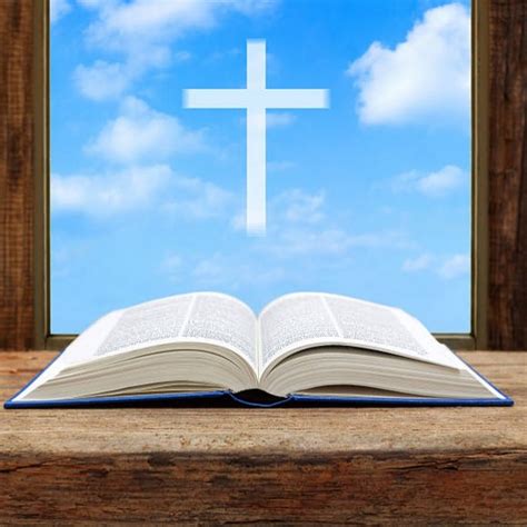 Daniel Lineberry Youtube