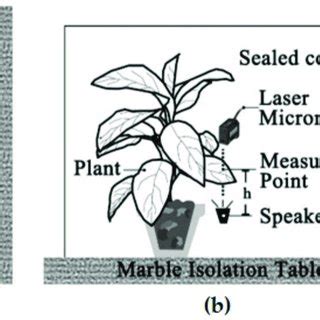 Experimental Setup A Overhead View Of The Measurement B Lateral Download Scientific