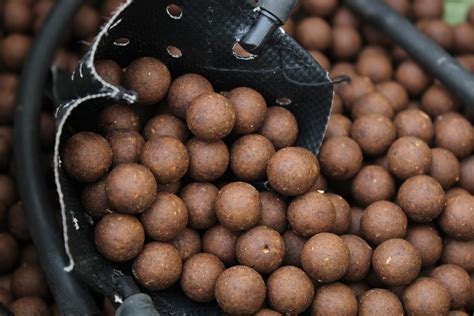 The Bug Recipe Guide The Best Insect Meal Bait DNA Baits
