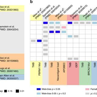 Clinical Outcomes Between Male And Female Patients With ICB Treatment Download Scientific
